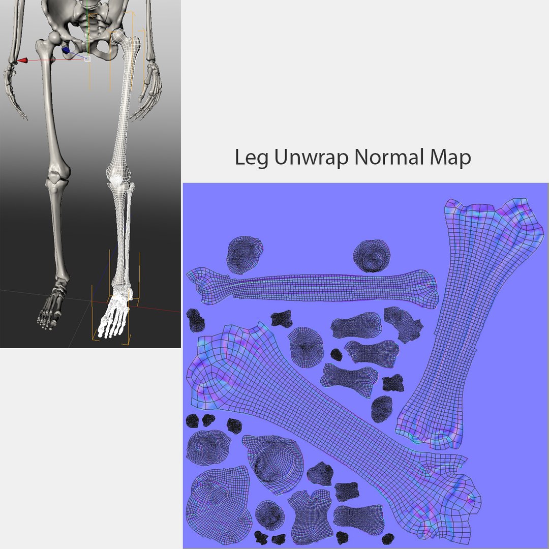 3d accurate human skeleton model