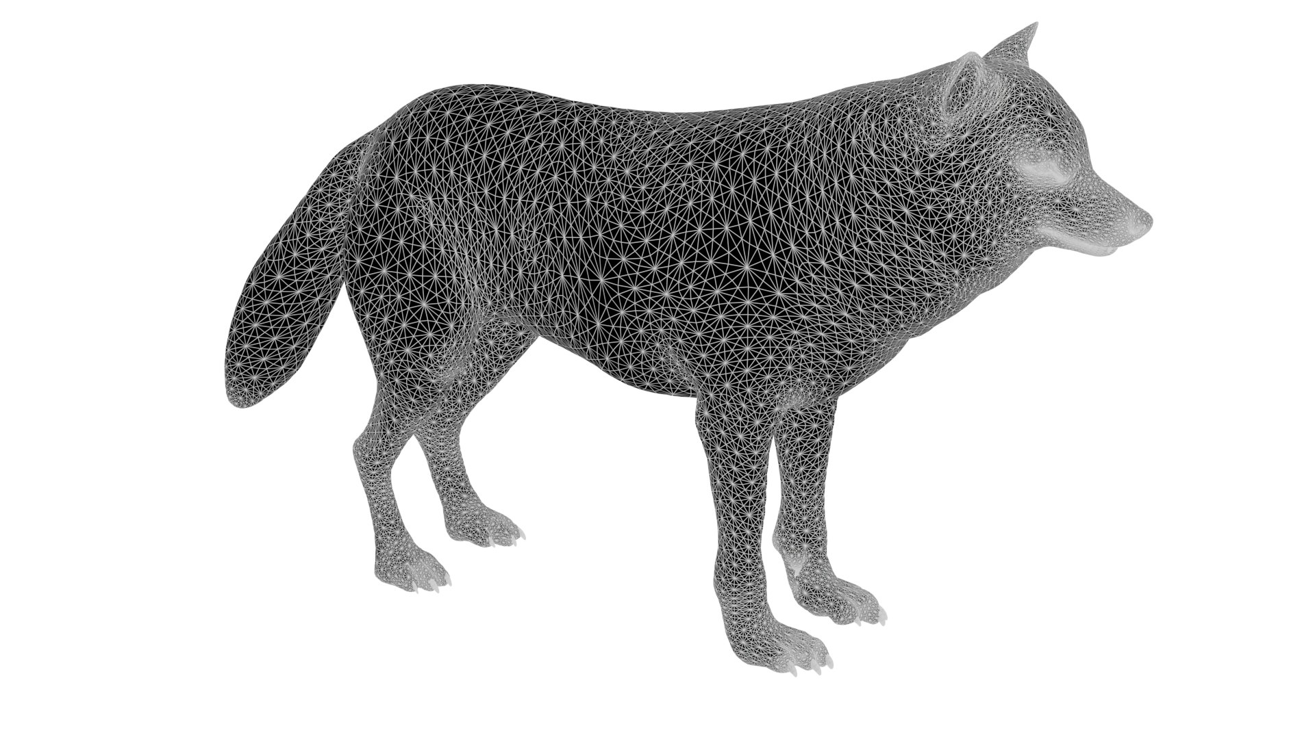 3D Wolf Model - TurboSquid 2129149