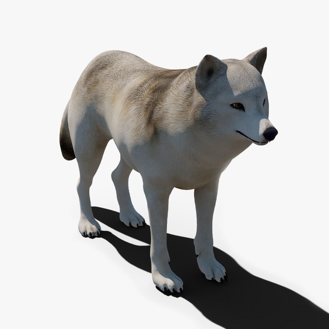 3D Wolf Model - TurboSquid 2129149