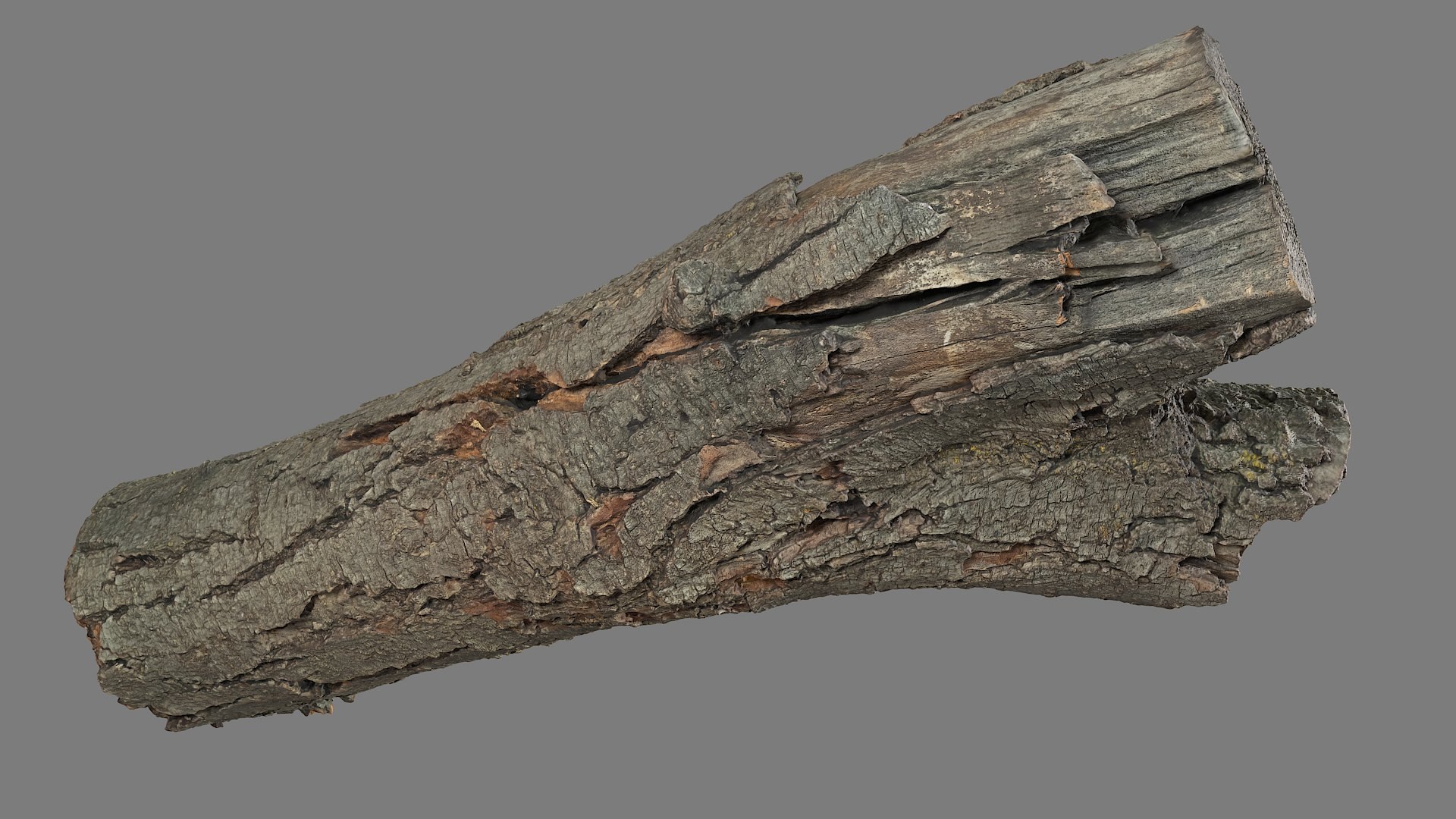 3D Tree Bark Scanned 8 - TurboSquid 2015471