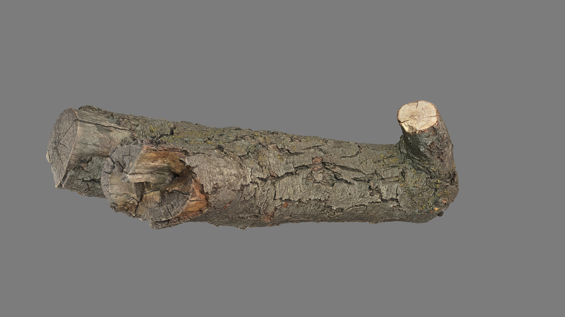 3D Tree Bark Scanned 8 - TurboSquid 2015471