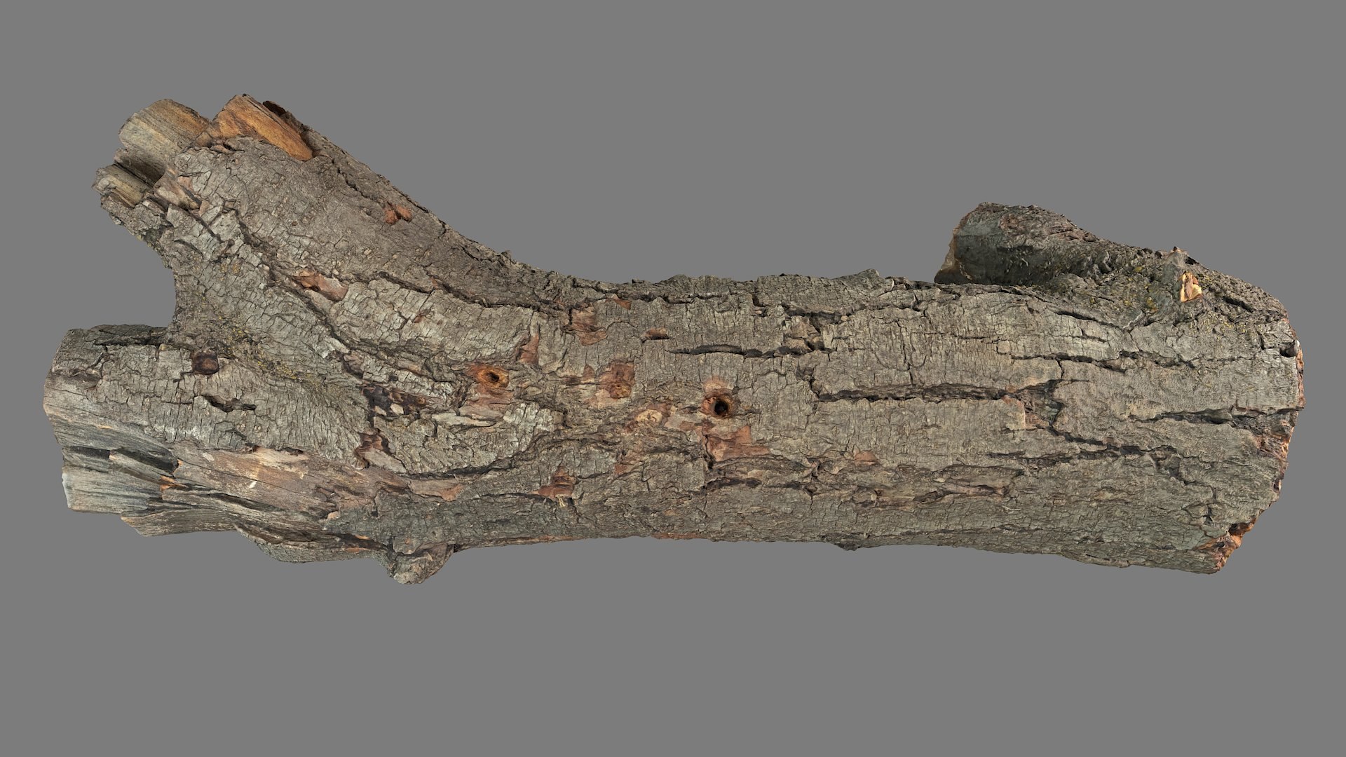 3D Tree Bark Scanned 8 - TurboSquid 2015471
