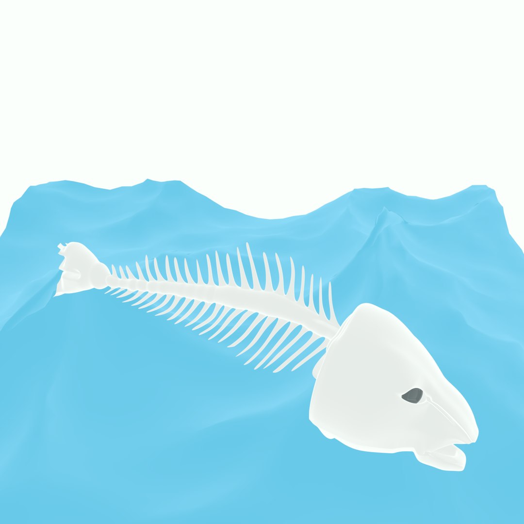 3D Dried Fish Bones Model - TurboSquid 1801429