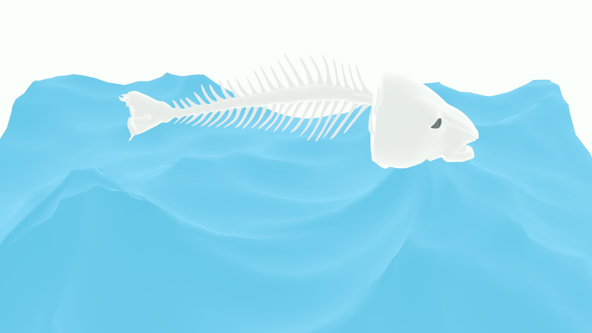 3D Dried Fish Bones Model - TurboSquid 1801429