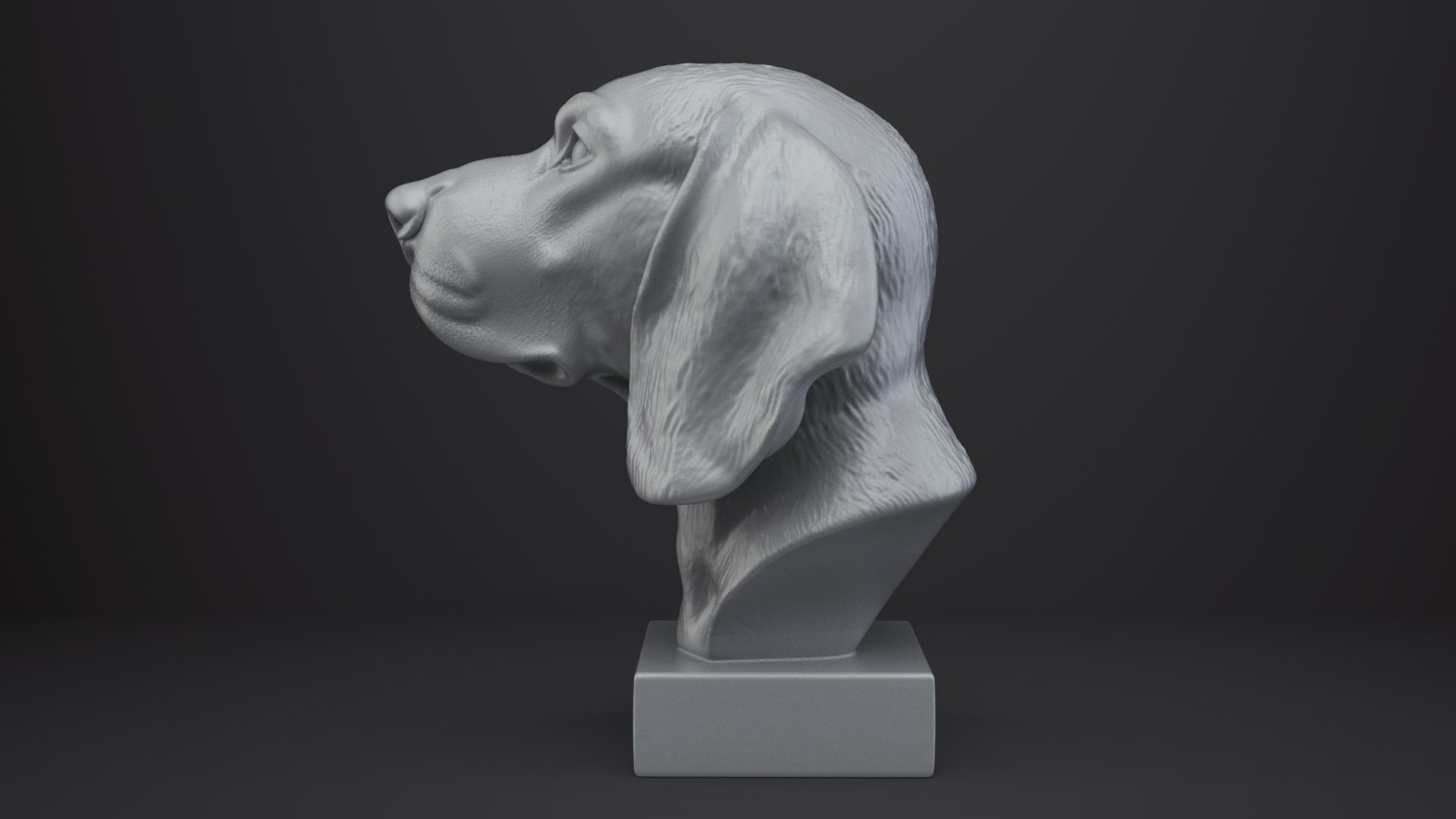 3D Beagle Dog Bust Model - TurboSquid 2511431