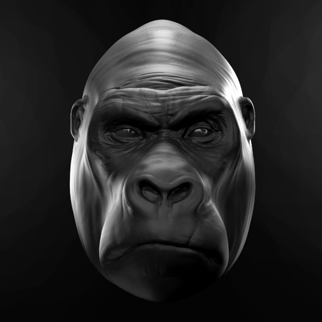 Maya Gorilla Face Zbrush