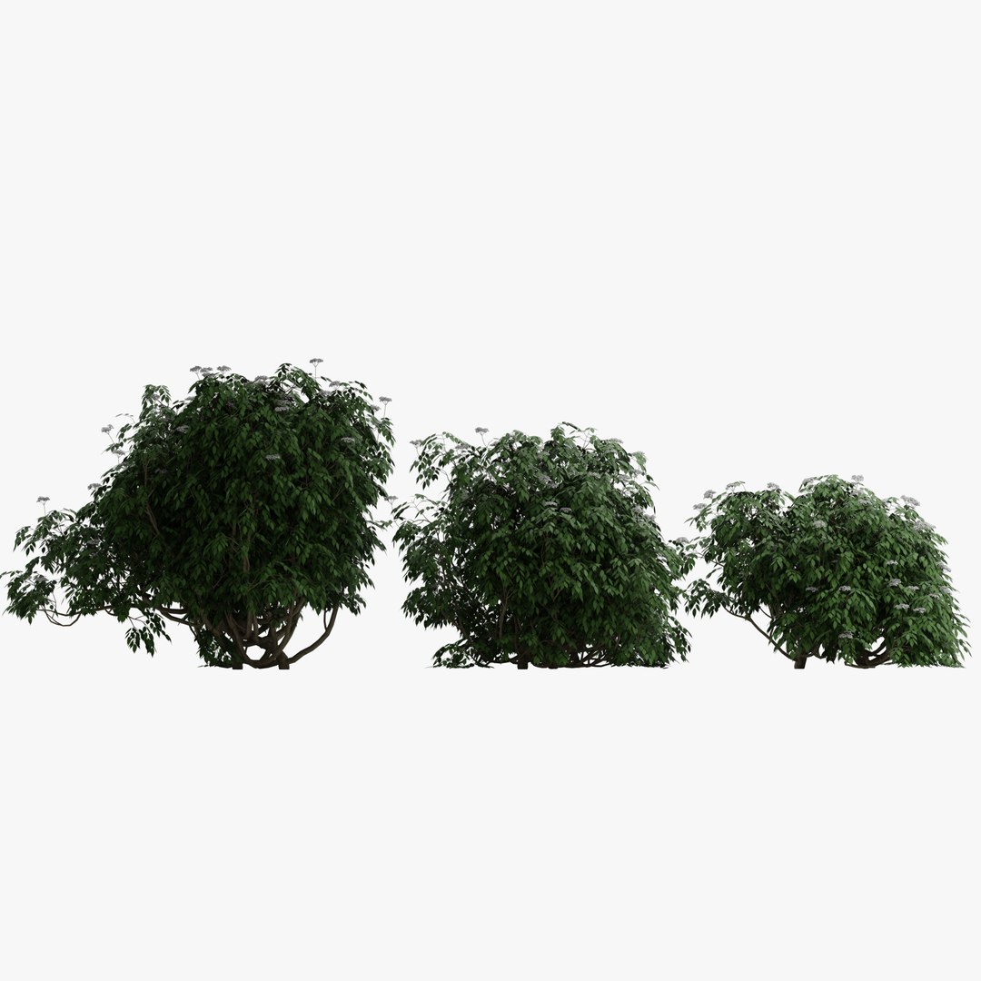 3D model bushes person leaf - TurboSquid 1694696