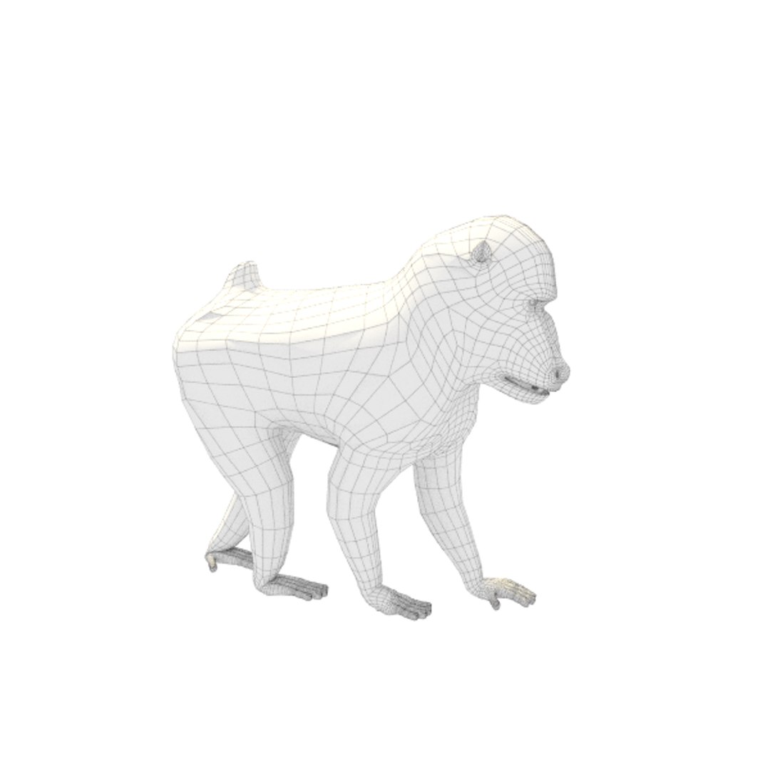 Mandrill Baboon Animation 3d Model