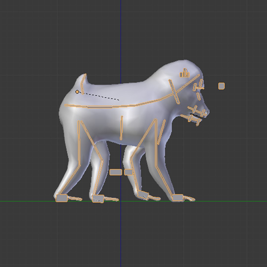 Mandrill Baboon Animation 3d Model