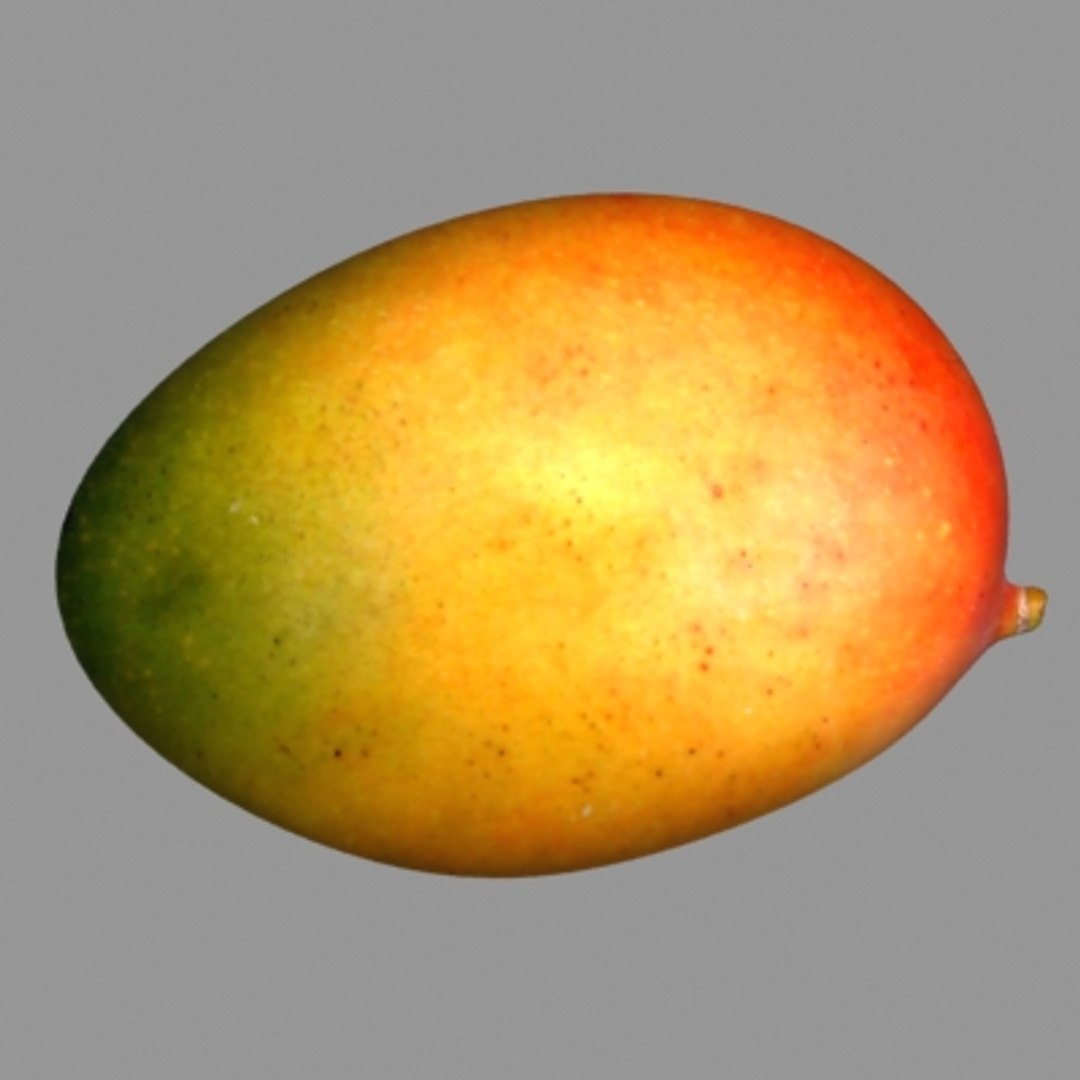 Mango Fruit 3d Model