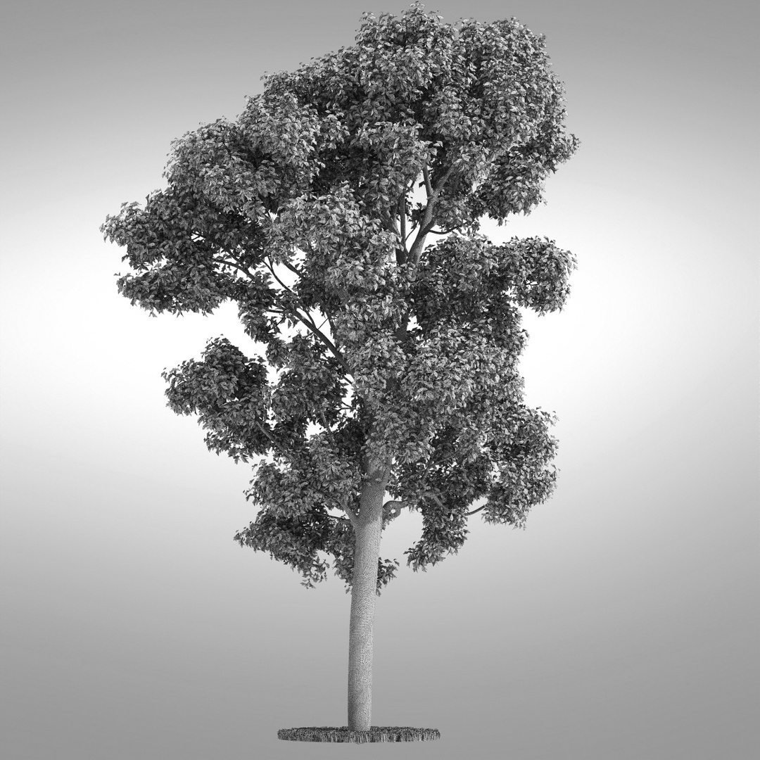 max hi realistic series tree