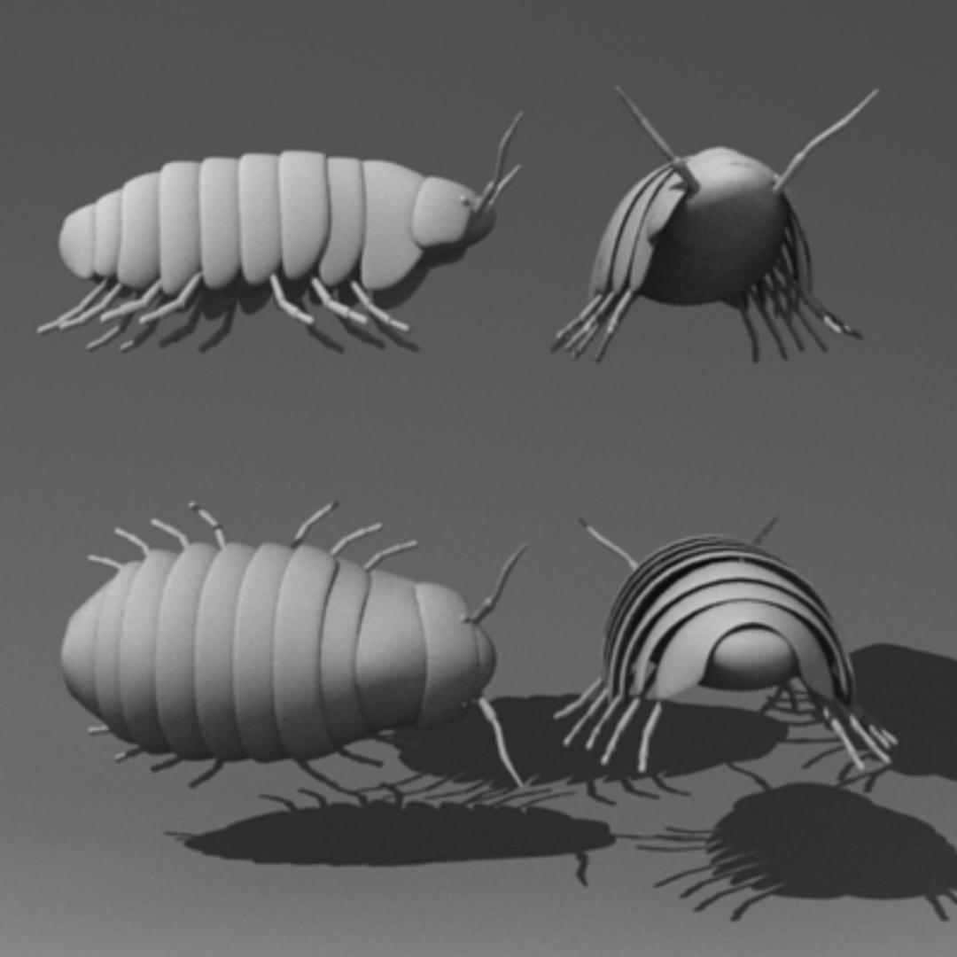3d model of pill bug
