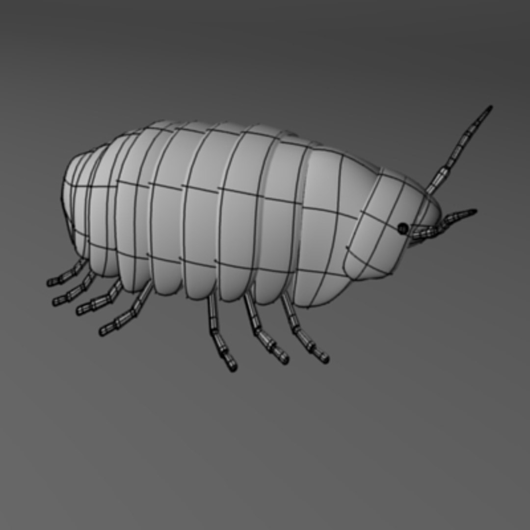 3d model of pill bug