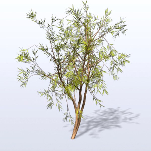 Low Poly Willow Tree 3D Models for Download | TurboSquid