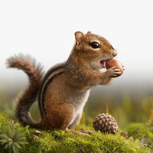 3D Chipmunk Models - Browse & Download Formats - TurboSquid