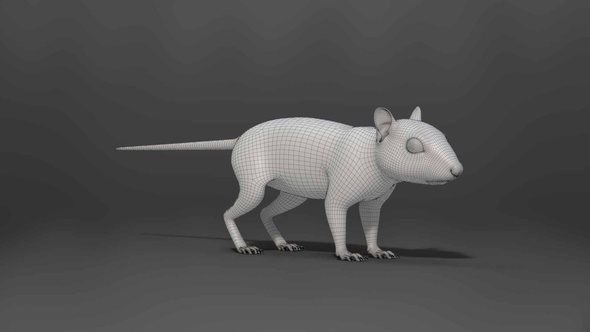 Chipmunk Animation 3D model - TurboSquid 2075706