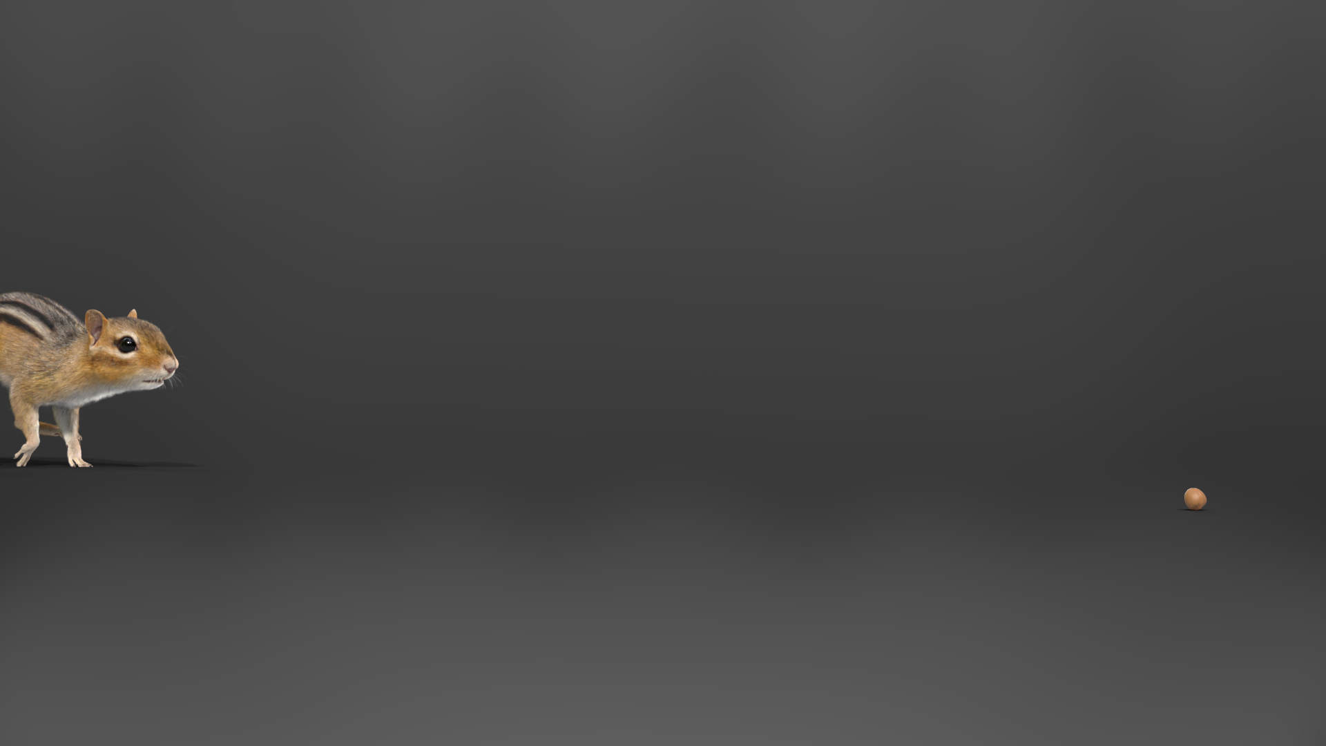 Chipmunk Animation 3D Model - TurboSquid 2075706