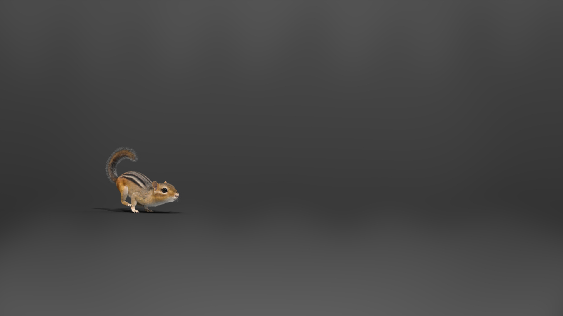 Chipmunk Animation 3D Model - TurboSquid 2075706