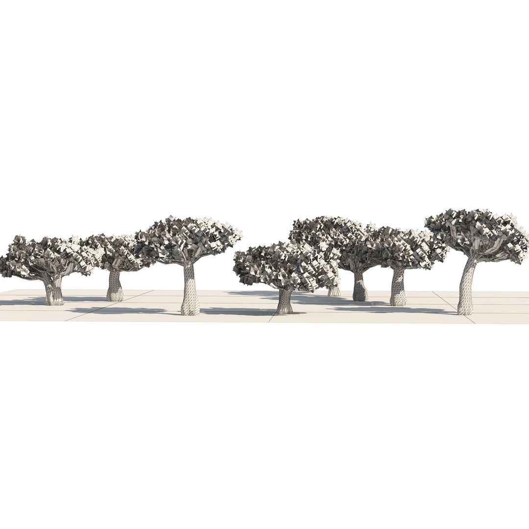 Evergreen Dragon Blood Trees Model - TurboSquid 2091787