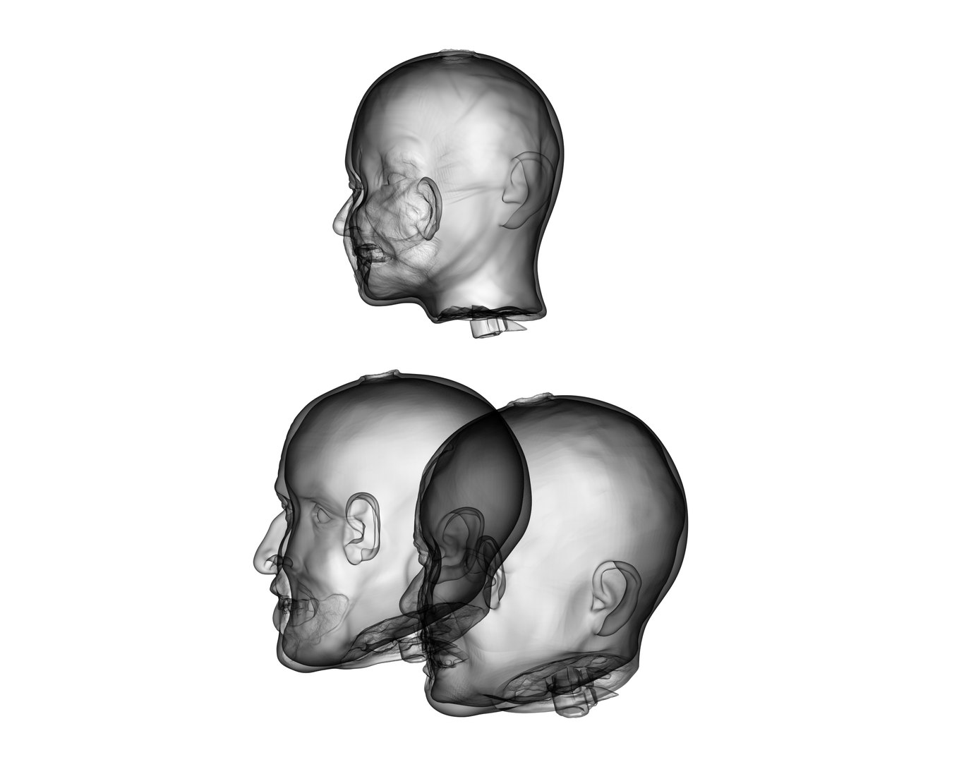 Family Zombie Heads 3D Model - TurboSquid 2416788