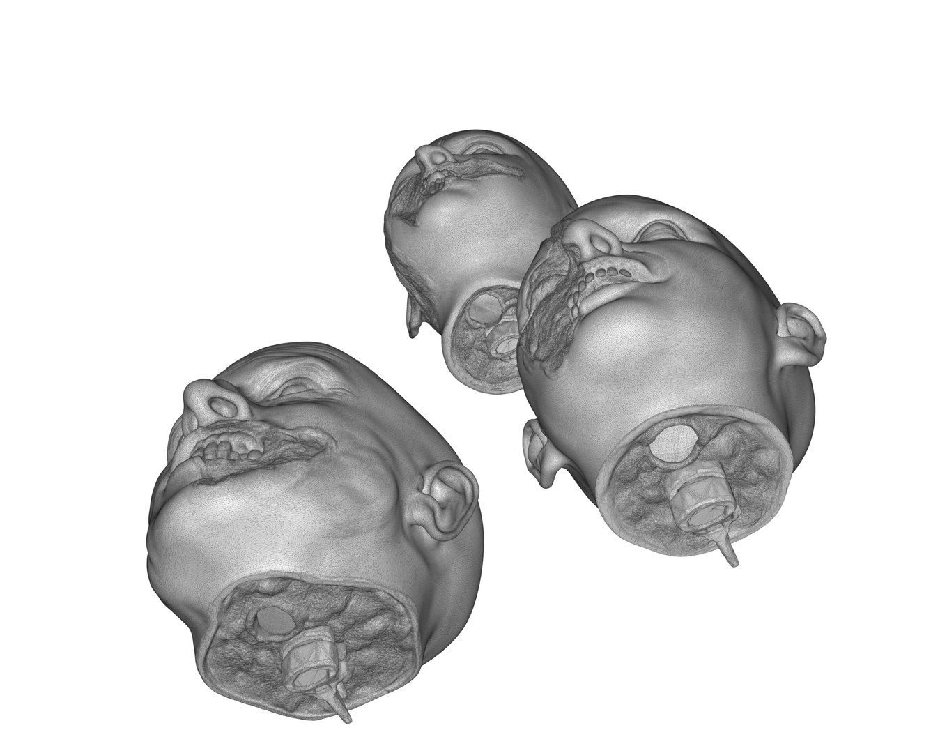Family Zombie Heads 3D Model - TurboSquid 2416788