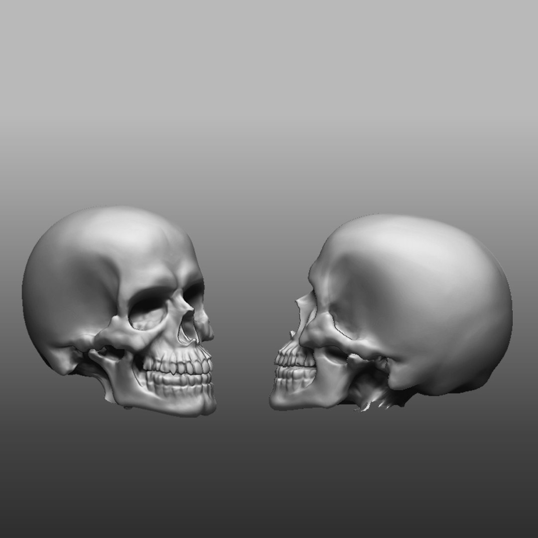 Scull 3d Obj