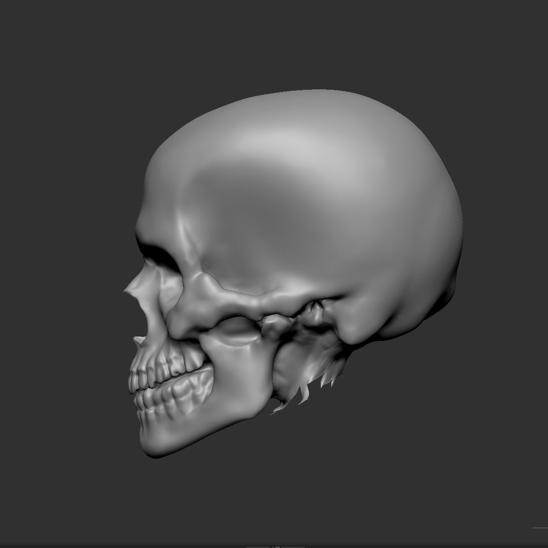 Scull 3d Obj