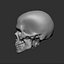 Scull 3d Obj