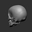 Scull 3d Obj