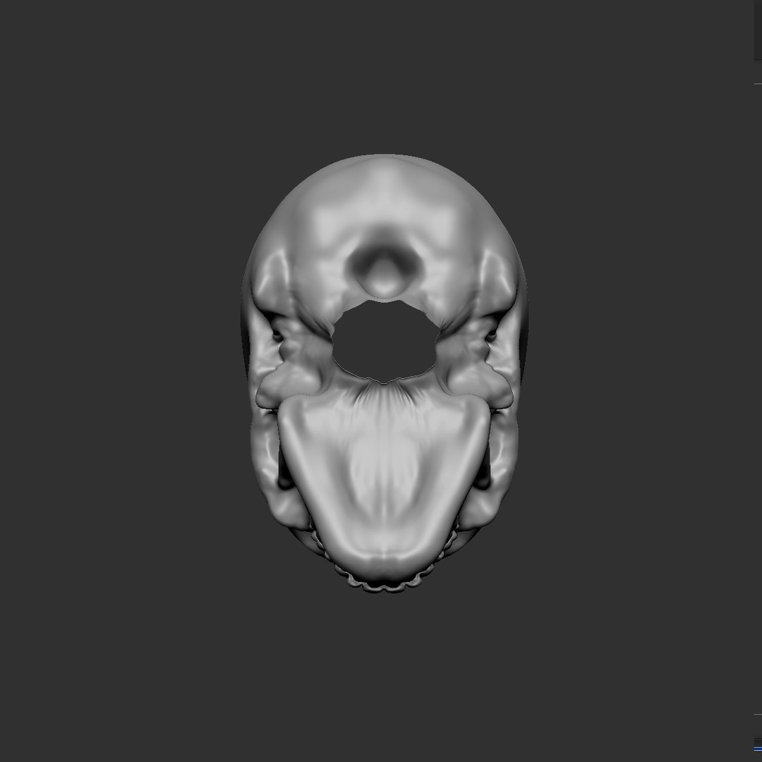 Scull 3d Obj