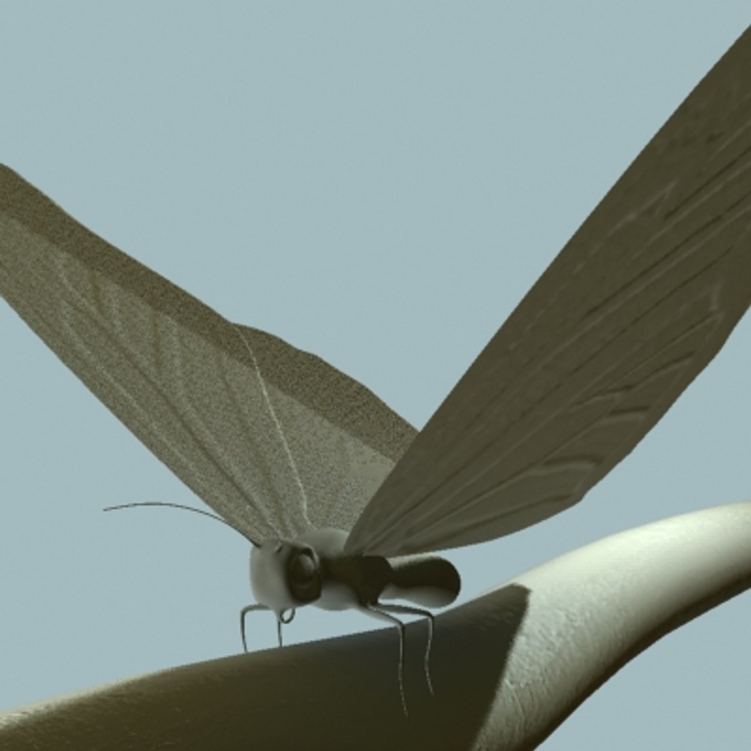 3d model realistic monarch butterfly