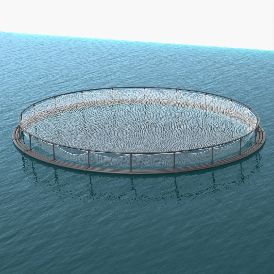 3D Offshore Aquaculture Ring With Protective Netting - TurboSquid 2445870