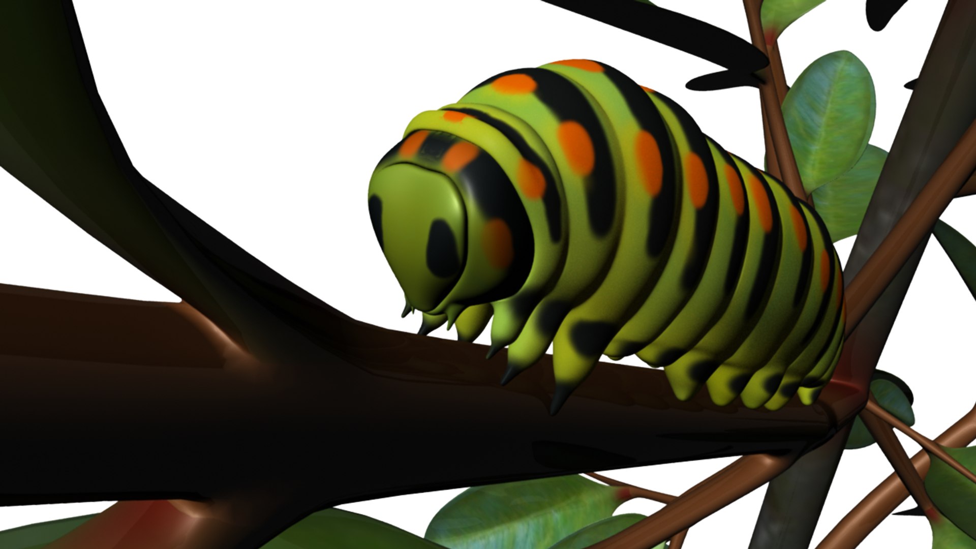 3d Caterpillars Insect