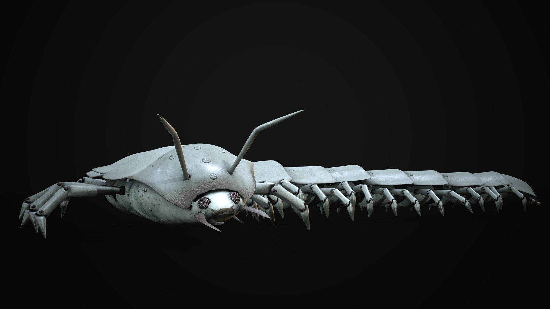 3D Invertebrate Centipede Insect - TurboSquid 1669903