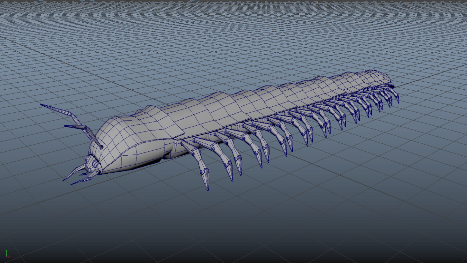 3D Invertebrate Centipede Insect - TurboSquid 1669903