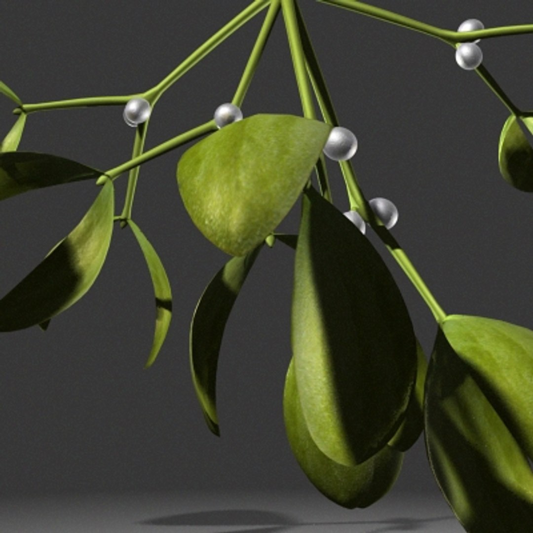3d Mistletoe Christmas
