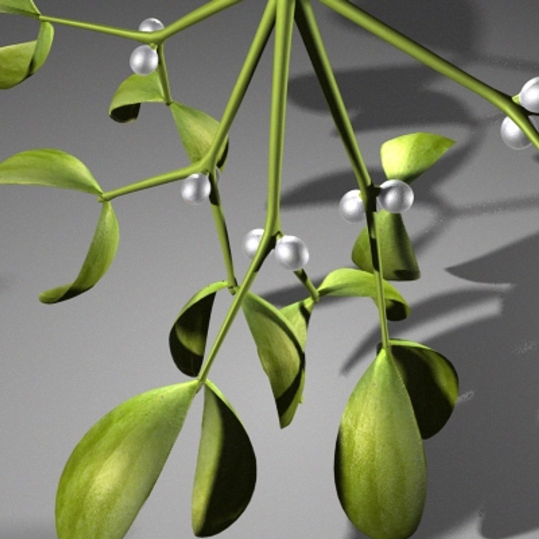 3d Mistletoe Christmas