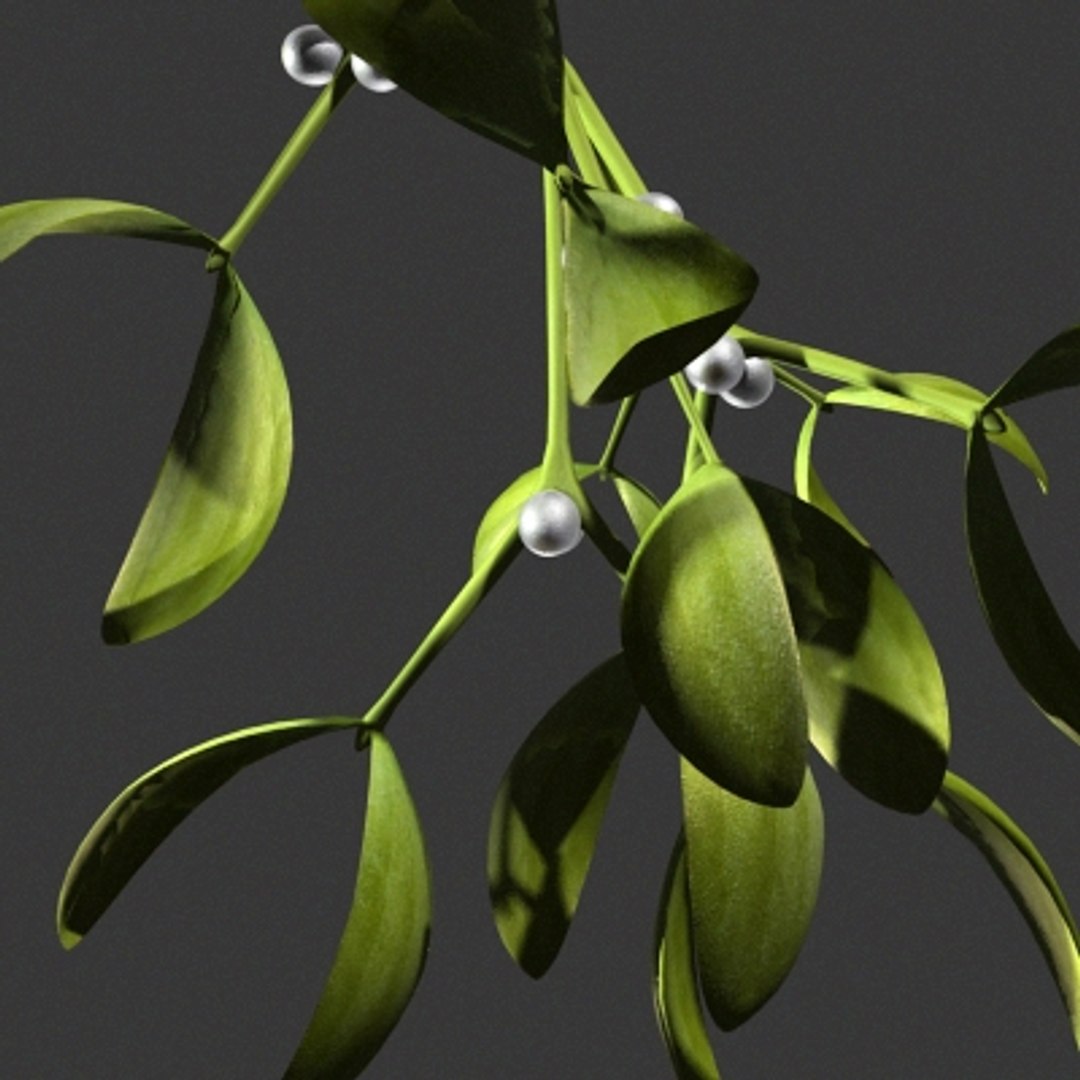 3d Mistletoe Christmas