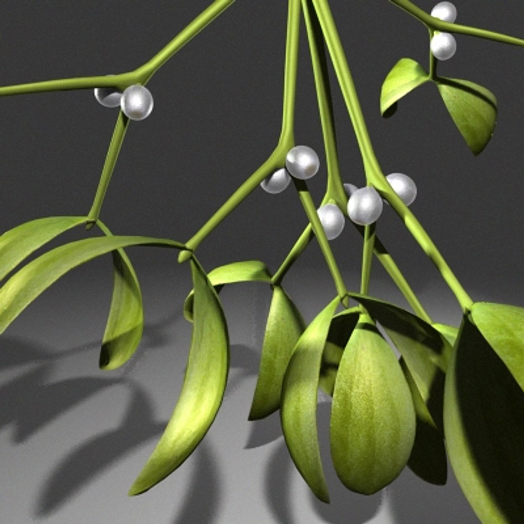 3d Mistletoe Christmas
