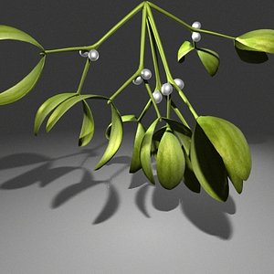 3D Mistletoe Models - Browse & Download Formats - TurboSquid