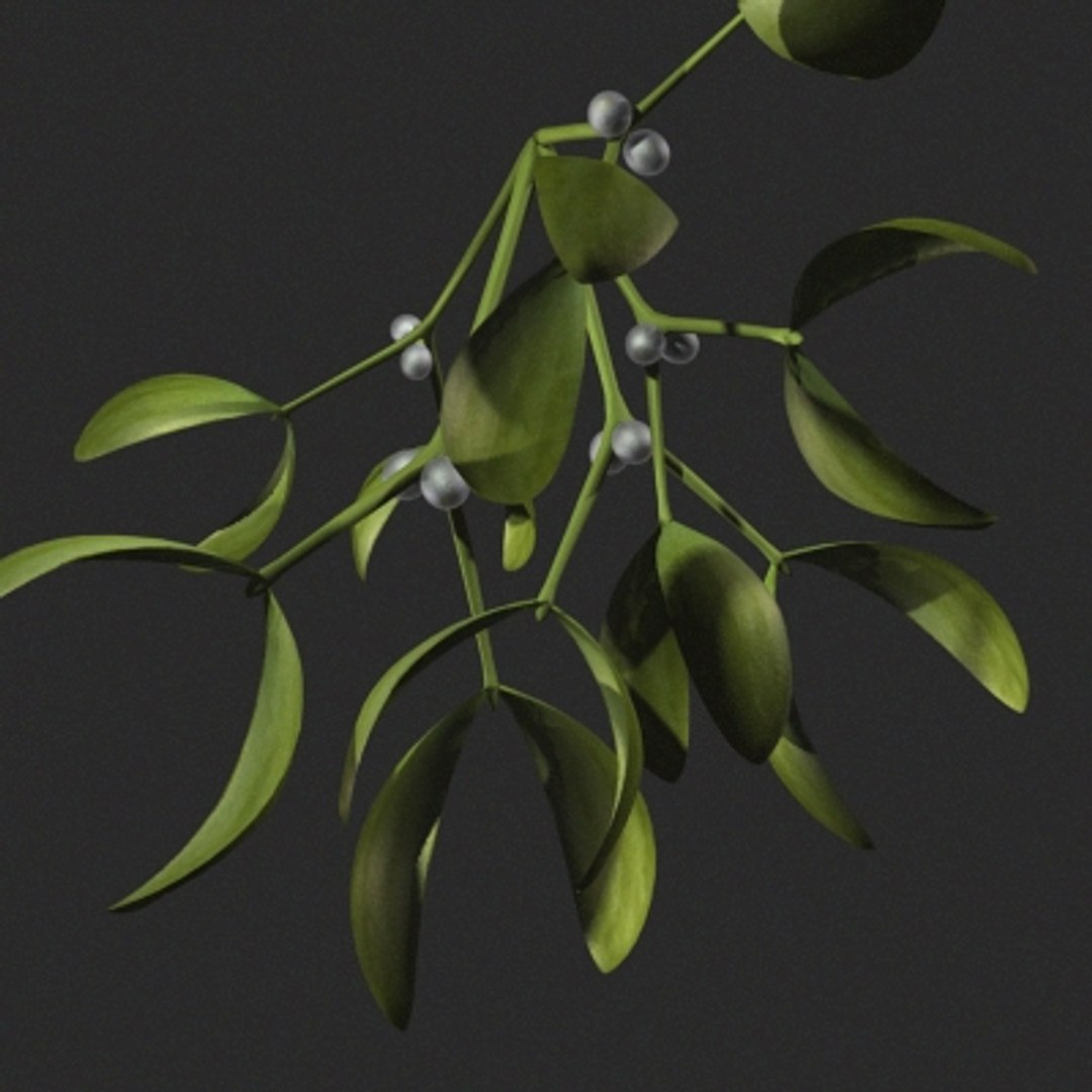 3d Mistletoe Christmas