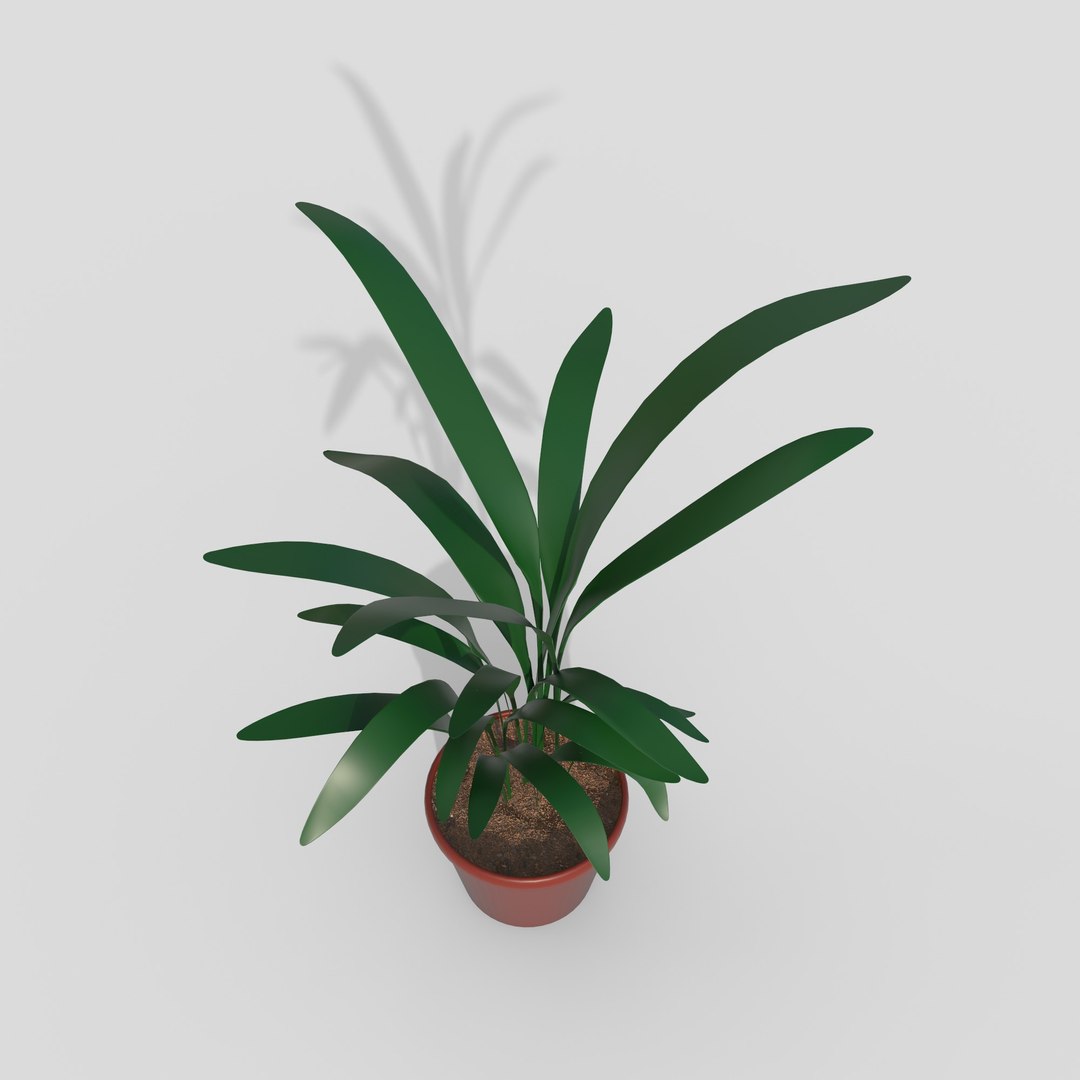 Plant 3D Model - TurboSquid 2382129