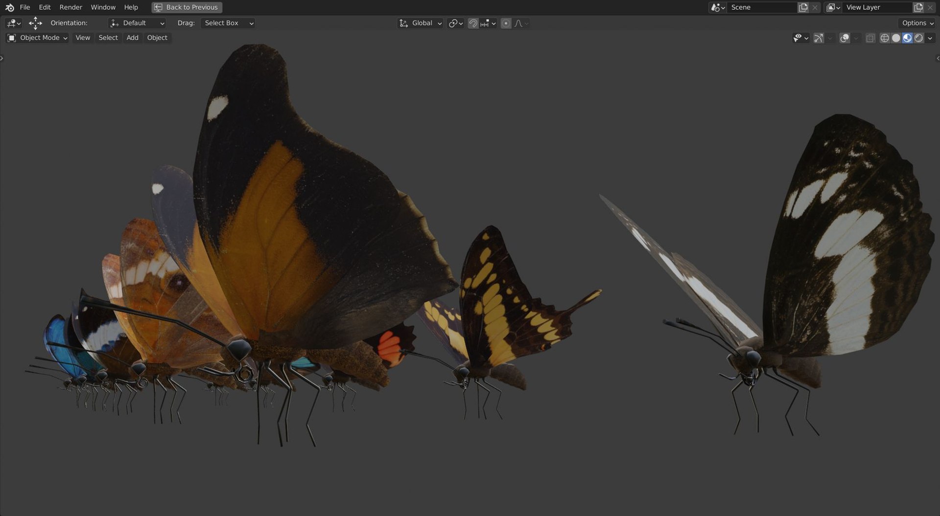 3D Butterfly Collection PBR Rigged Animated - TurboSquid 1782322