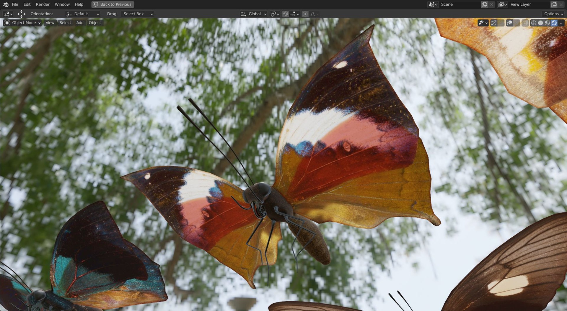 3D Butterfly Collection PBR Rigged Animated - TurboSquid 1782322