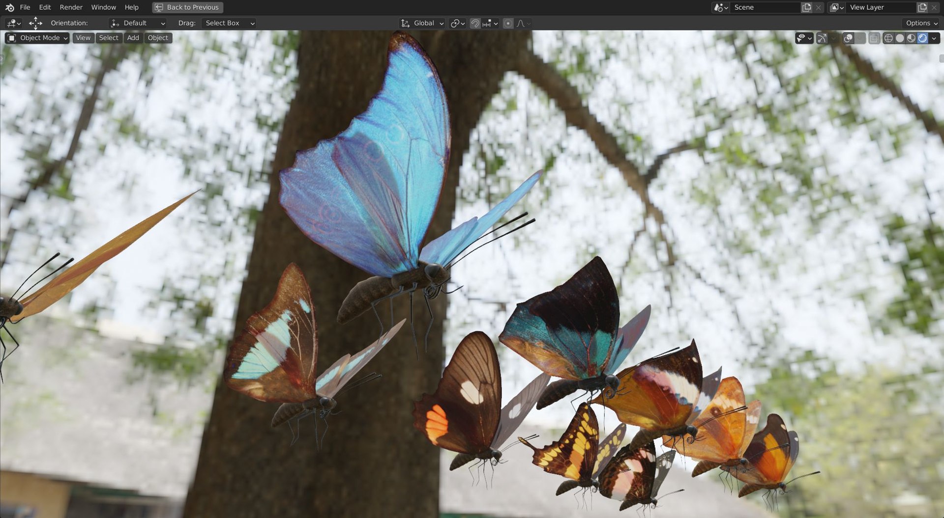 3D Butterfly Collection PBR Rigged Animated - TurboSquid 1782322