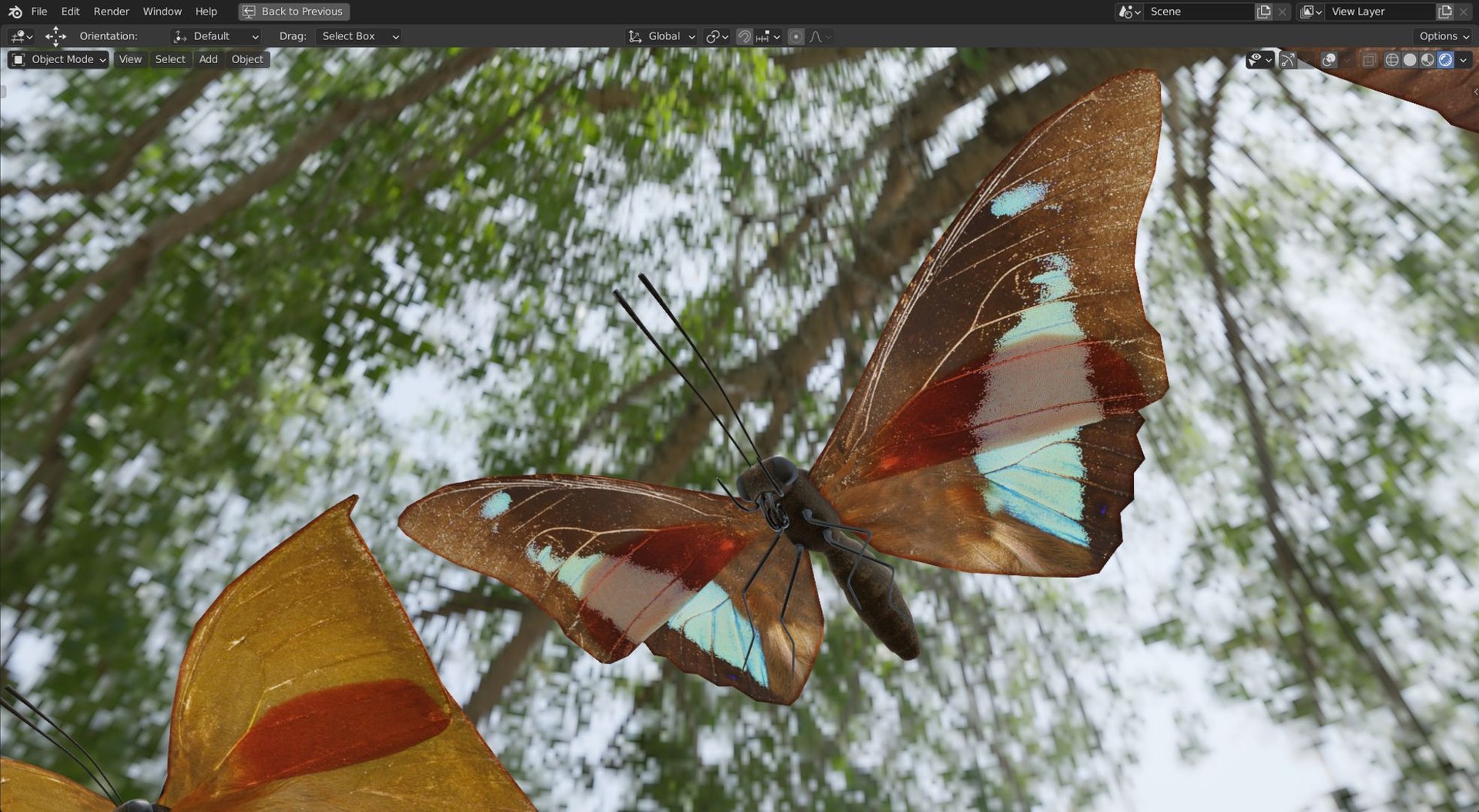 3D Butterfly Collection PBR Rigged Animated - TurboSquid 1782322