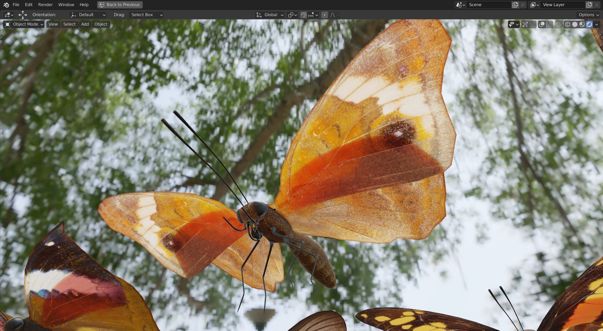 3D Butterfly Collection PBR Rigged Animated - TurboSquid 1782322