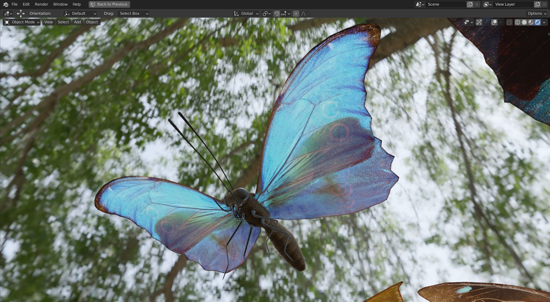 3D Butterfly Collection PBR Rigged Animated - TurboSquid 1782322