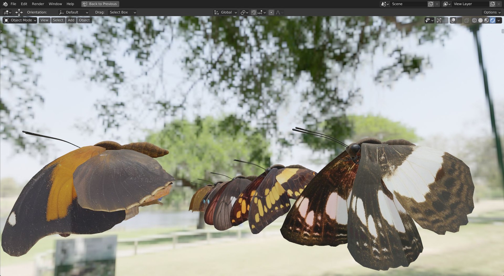 3D Butterfly Collection PBR Rigged Animated - TurboSquid 1782322