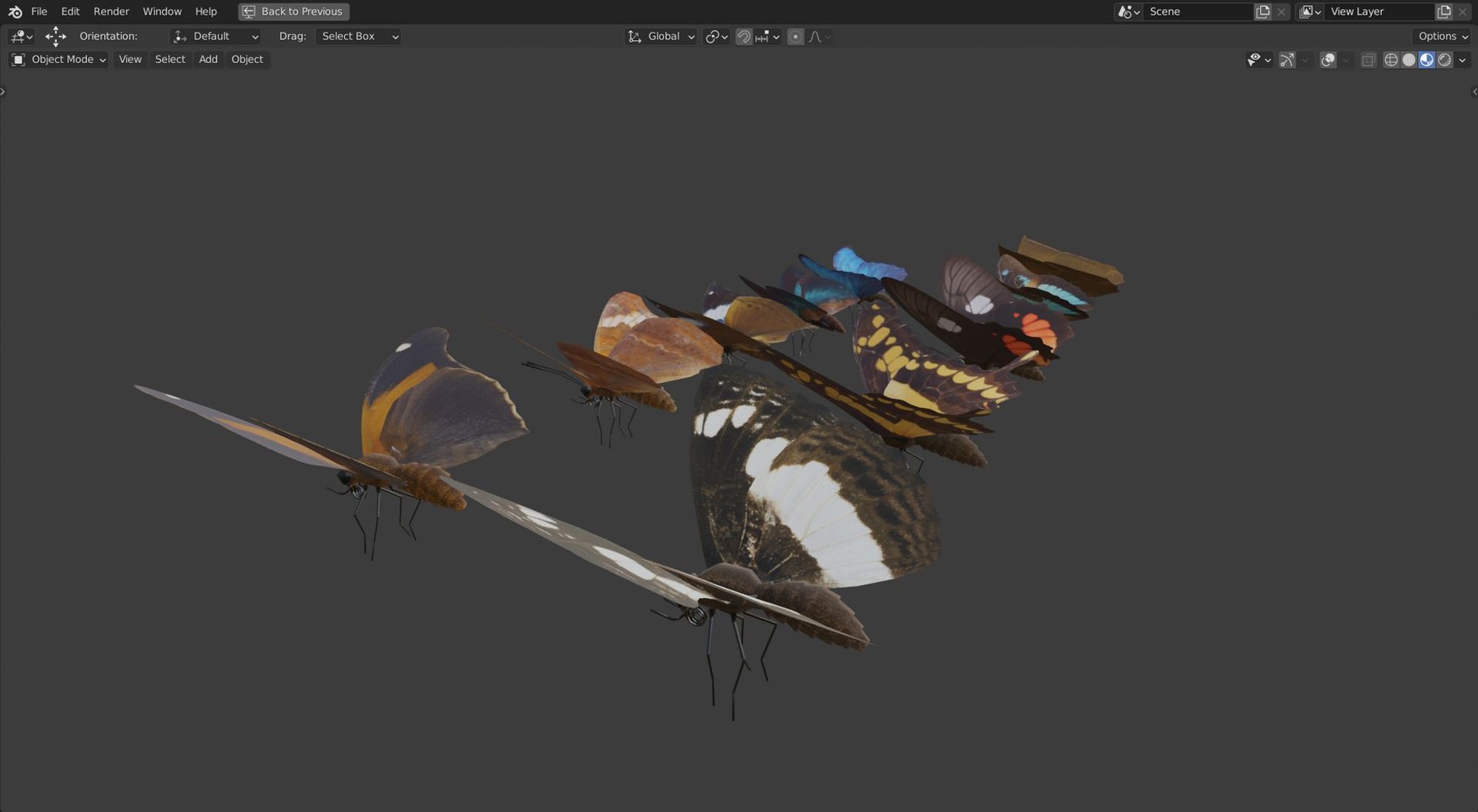 3D Butterfly Collection PBR Rigged Animated - TurboSquid 1782322